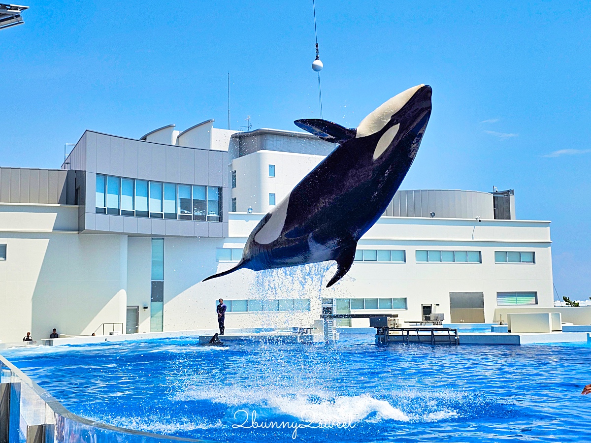 【神戶須磨海洋世界 Kobe Suma Seaworld】西日本唯一虎鯨表演水族館重新開幕 @兔兒毛毛姊妹花