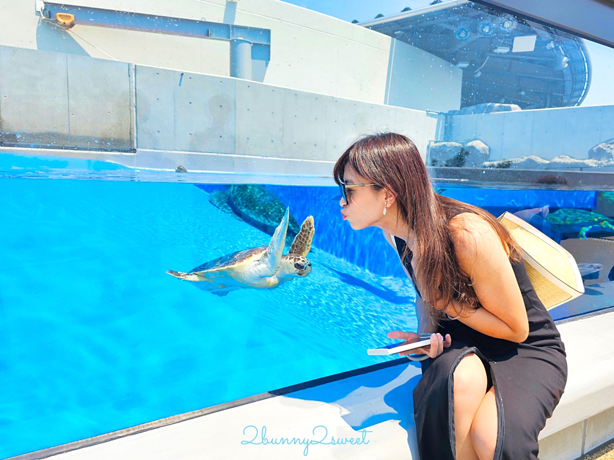 【神戶須磨海洋世界 Kobe Suma Seaworld】西日本唯一虎鯨表演水族館重新開幕 @兔兒毛毛姊妹花