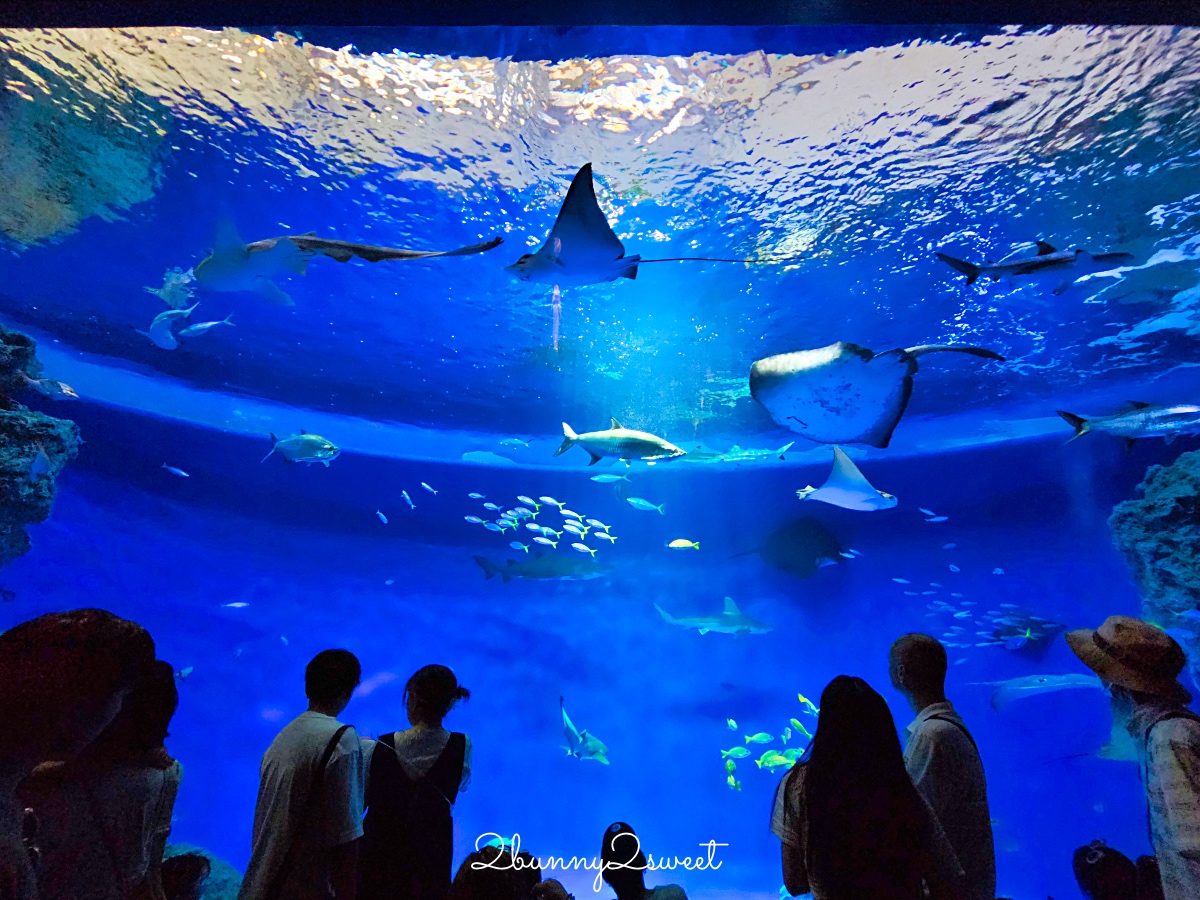 【神戶須磨海洋世界 Kobe Suma Seaworld】西日本唯一虎鯨表演水族館重新開幕 @兔兒毛毛姊妹花