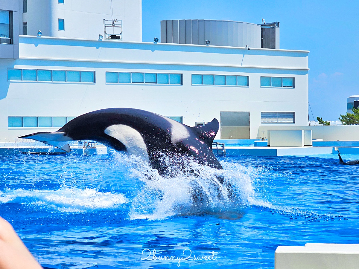 【神戶須磨海洋世界 Kobe Suma Seaworld】西日本唯一虎鯨表演水族館重新開幕 @兔兒毛毛姊妹花