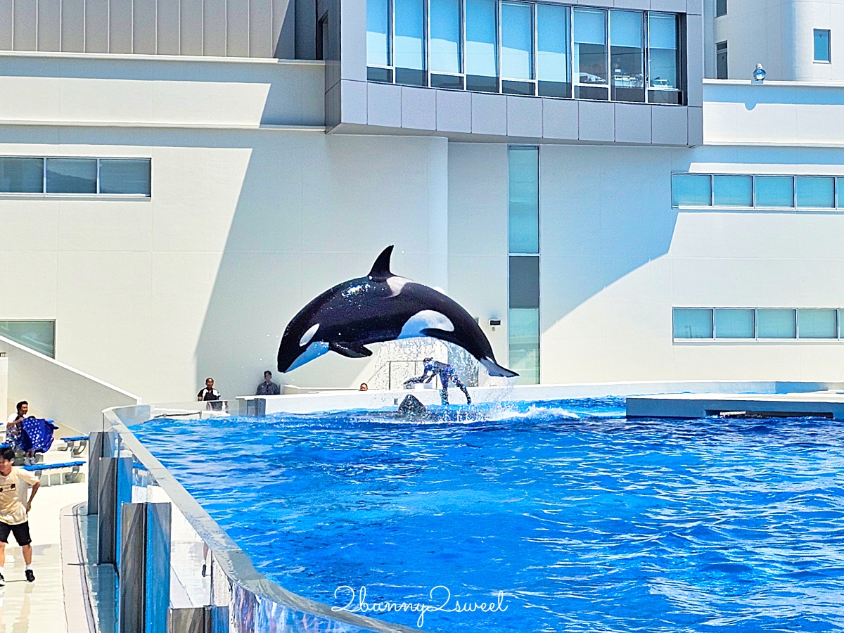 【神戶須磨海洋世界 Kobe Suma Seaworld】西日本唯一虎鯨表演水族館重新開幕 @兔兒毛毛姊妹花