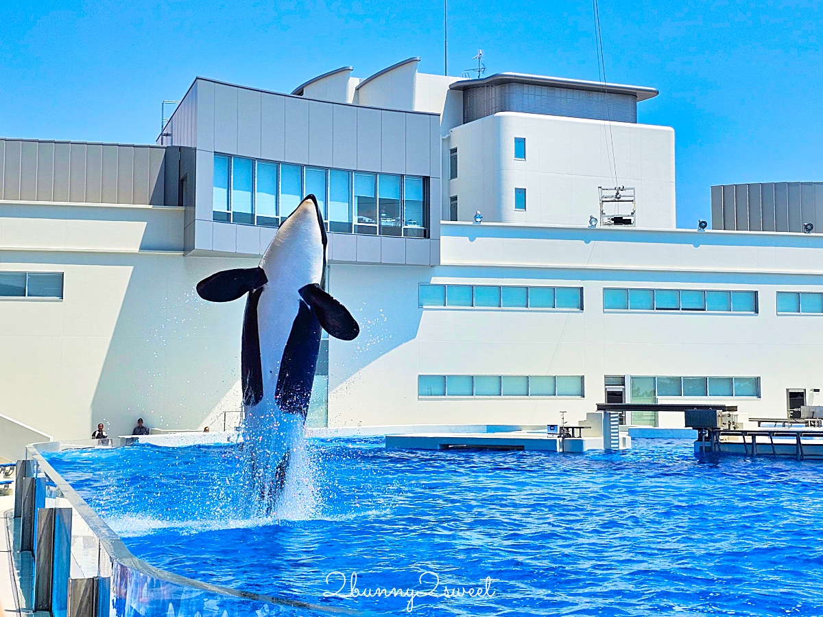 【神戶須磨海洋世界 Kobe Suma Seaworld】西日本唯一虎鯨表演水族館重新開幕 @兔兒毛毛姊妹花