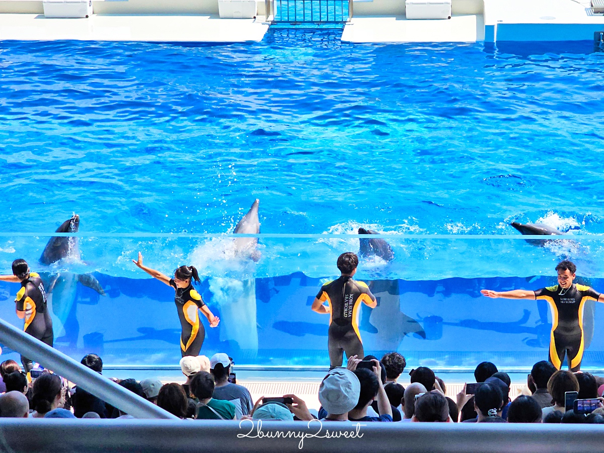【神戶須磨海洋世界 Kobe Suma Seaworld】西日本唯一虎鯨表演水族館重新開幕 @兔兒毛毛姊妹花