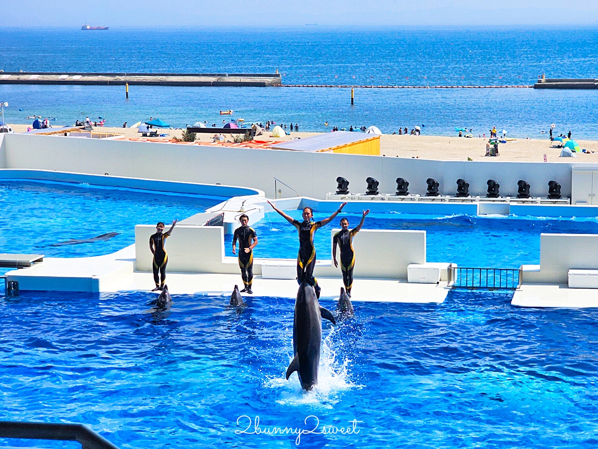 【神戶須磨海洋世界 Kobe Suma Seaworld】西日本唯一虎鯨表演水族館重新開幕 @兔兒毛毛姊妹花