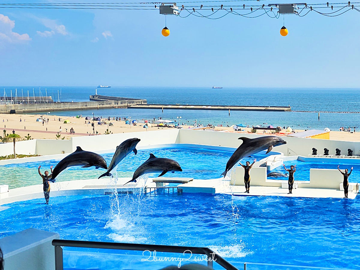 【神戶須磨海洋世界 Kobe Suma Seaworld】西日本唯一虎鯨表演水族館重新開幕 @兔兒毛毛姊妹花